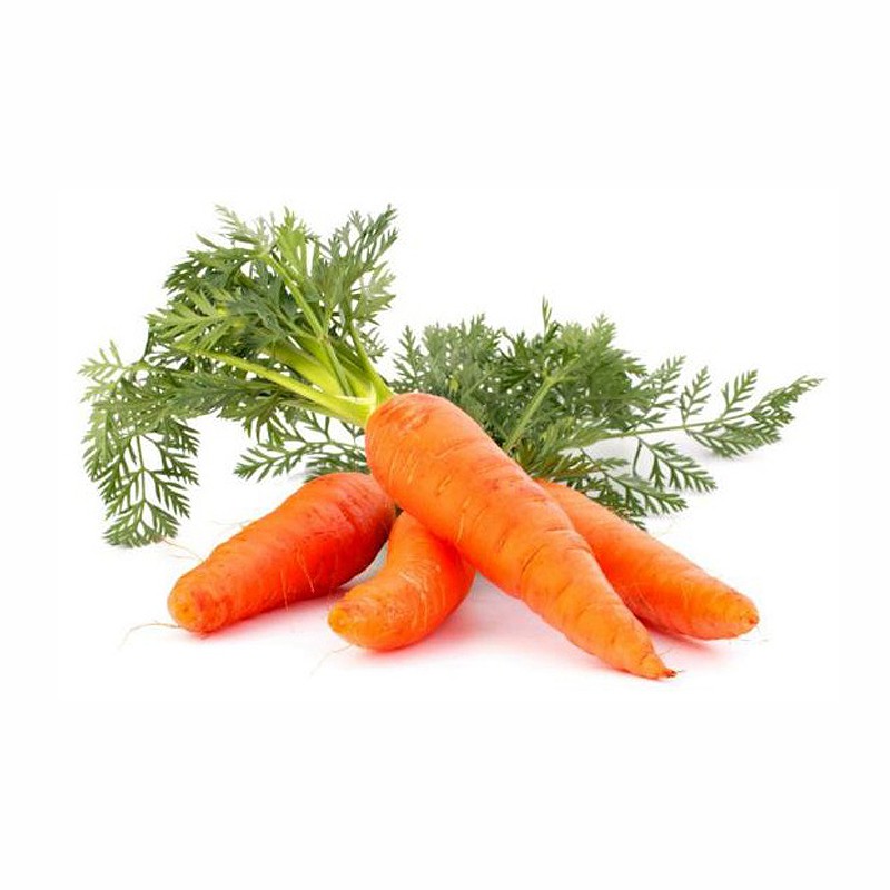 Native Organic Carrot - Leafy