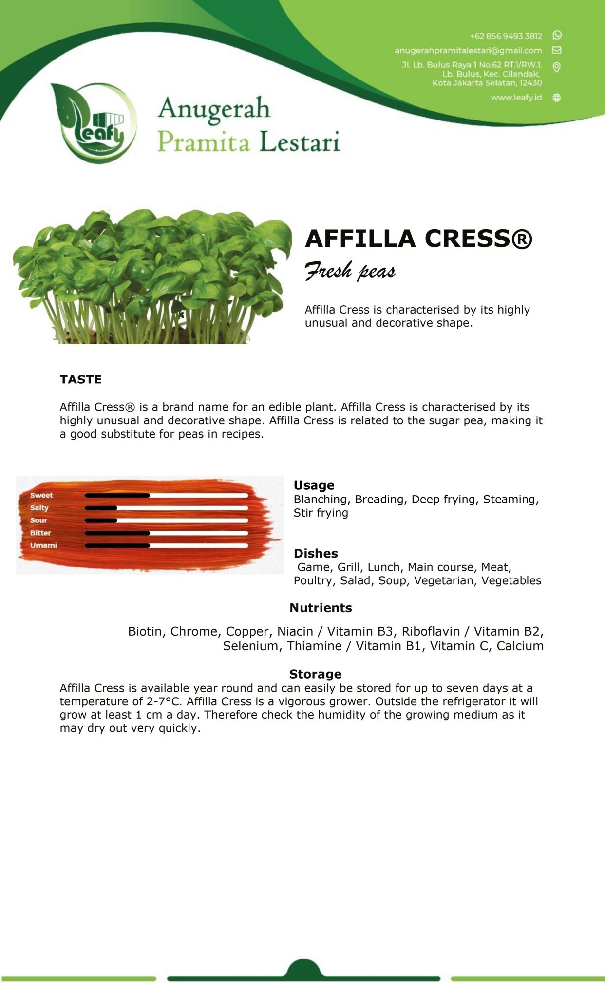 AFFILLA CRESS - Pea shoot - Leafy