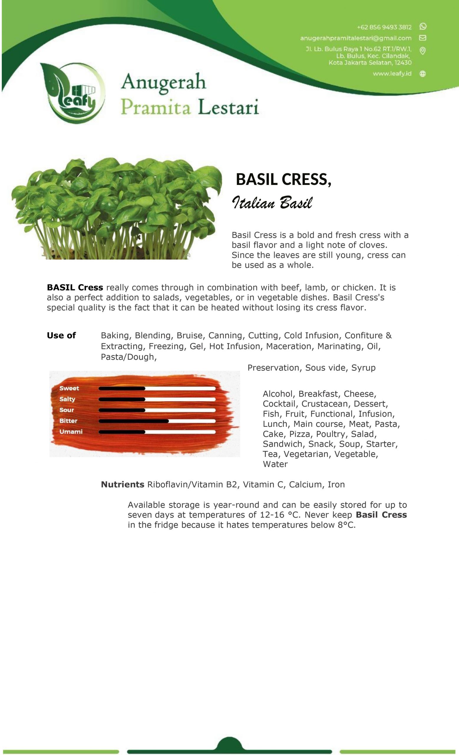 Basil Cress - Leafy